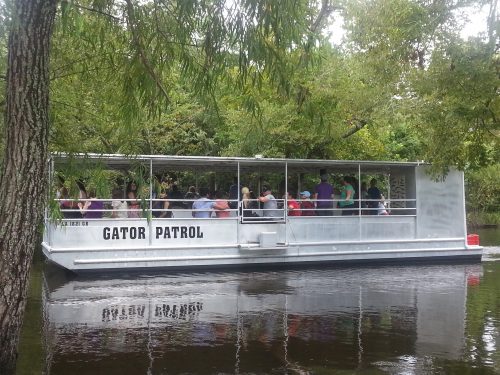 Swamp Tours | Cajun Pride Swamp Tours