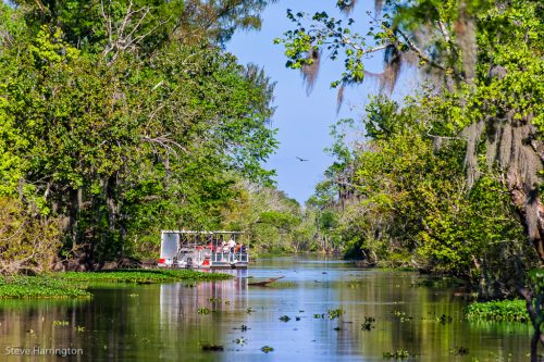 Swamp Tours | Cajun Pride Swamp Tours