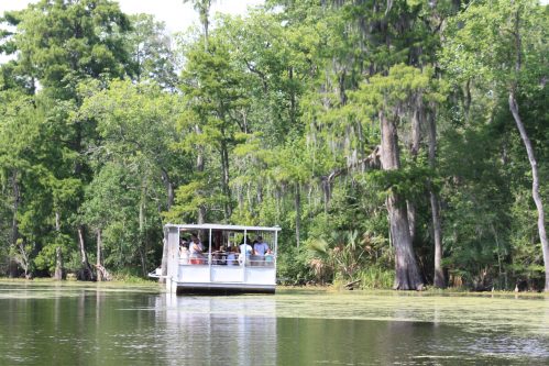 Swamp Tours | Cajun Pride Swamp Tours