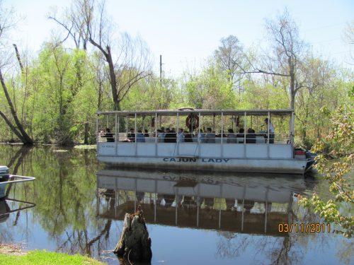 Swamp Tours | Cajun Pride Swamp Tours
